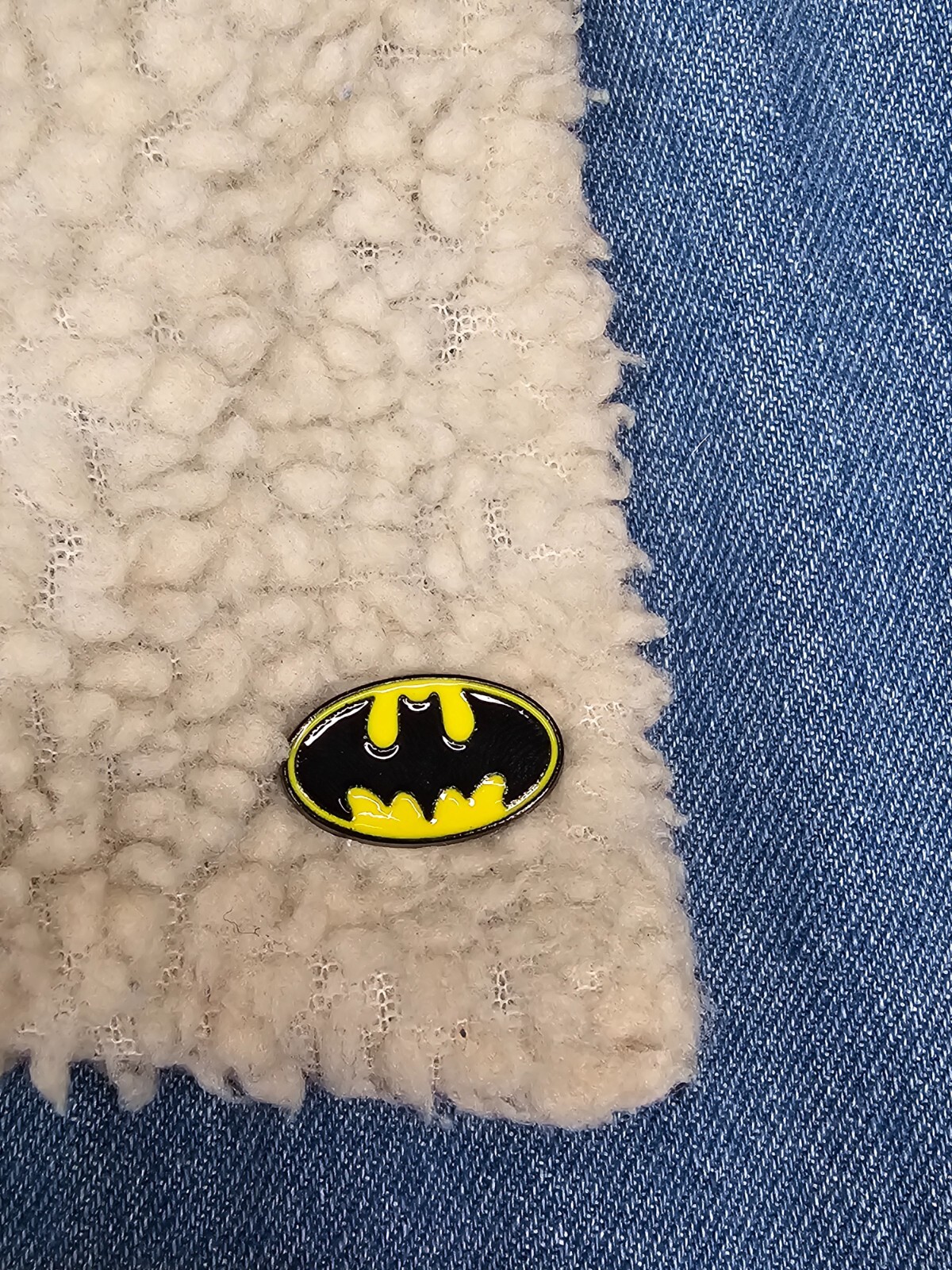 Batman DC Universe Gamer Nerdy Cartoon Heady Enamel Festival Hat and ...