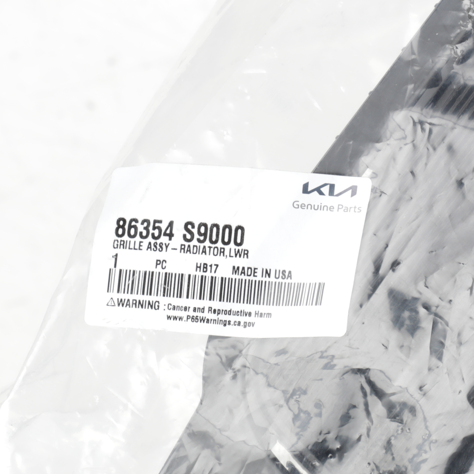 NEW OEM Kia 2020-2022 Telluride Center Grille Radiator Trim Bezel 86354 ...