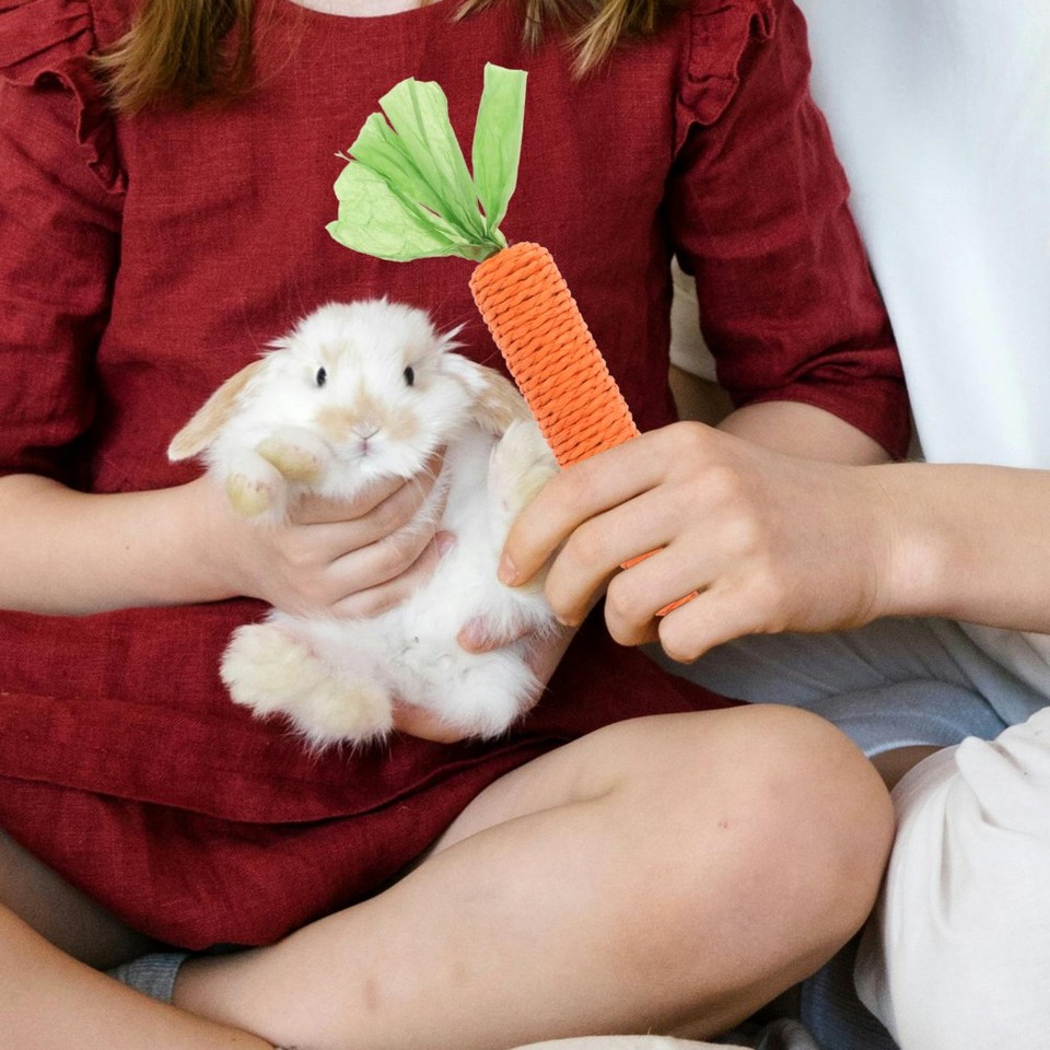 3pcs Rabbit Chewing Toys Corn Core Hamster Toys Carrot-shaped Bunny ...