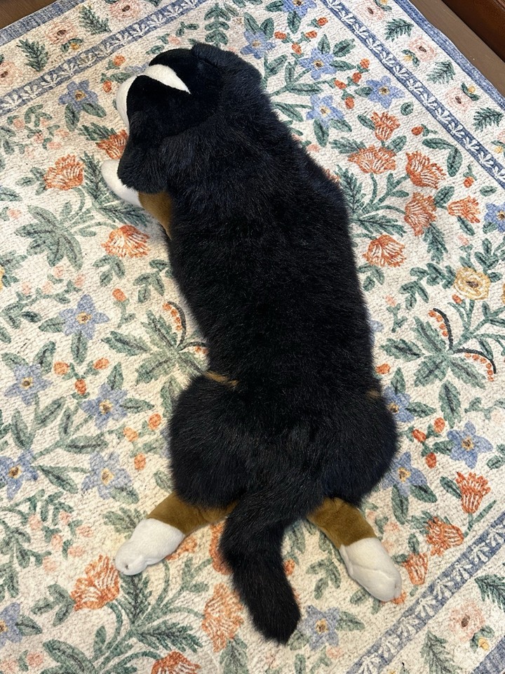 Vtg Realistic Bernese Mountain Dog Jumbo 40” Stuffed Animal Prima E&J Classic XL | eBay