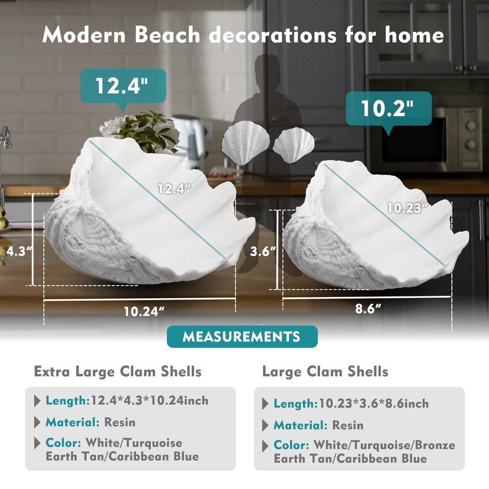Extra Large Clam Shells Decorative Bowlwhite Sea Shells Decorative ...