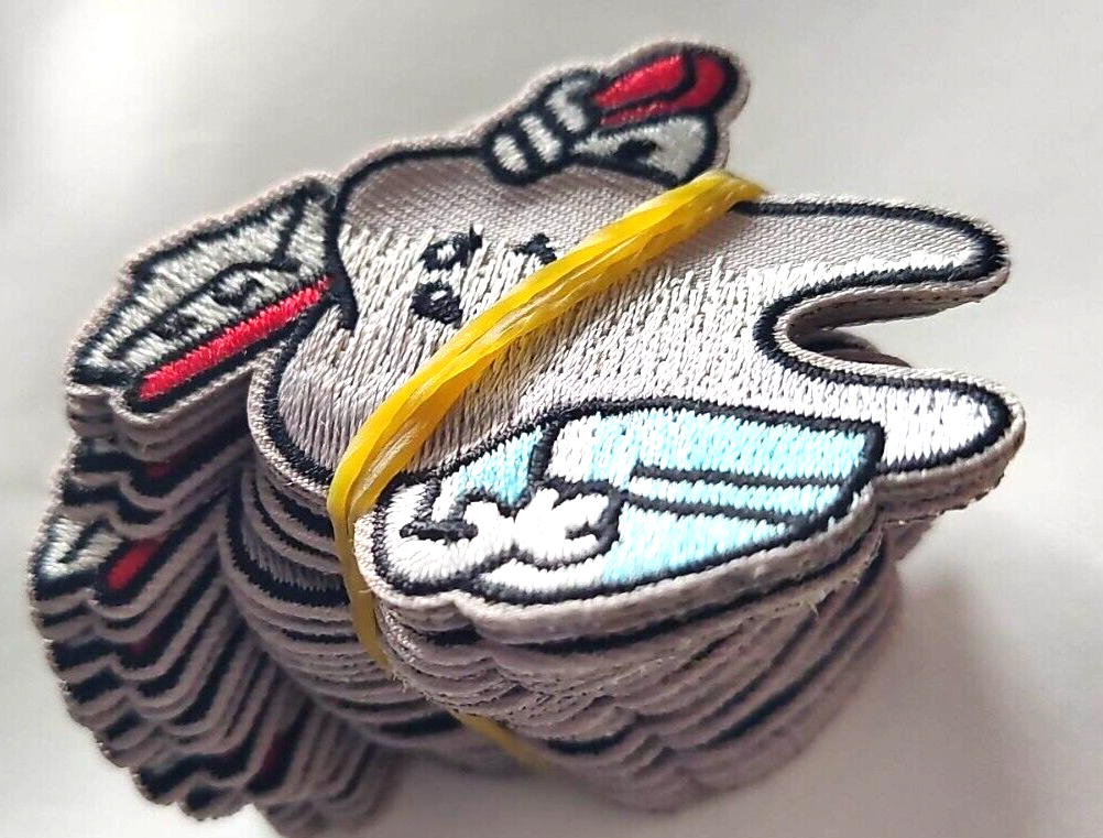 Lot of 26 Tooth & Toothbrush Iron On Embroidered Patch Dental ...