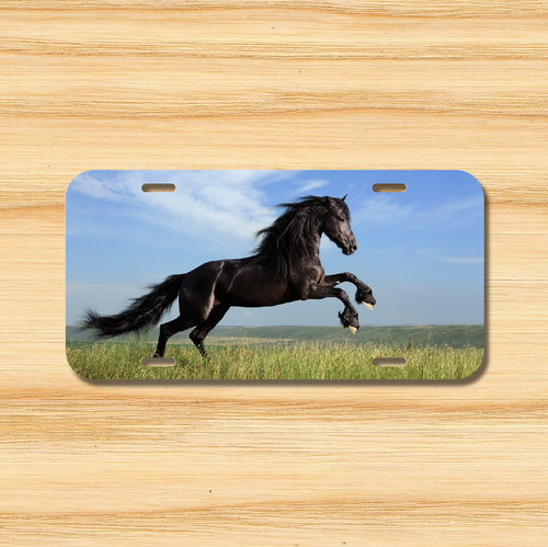 Horse License Plate Front Vehicle Auto Tag Dressage Pony Thoroughbred ...