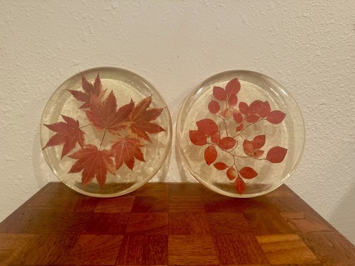 Vintage Large Acrylic Lucite TRIVET Dried Leaves Autumn, Footed, Set of ...