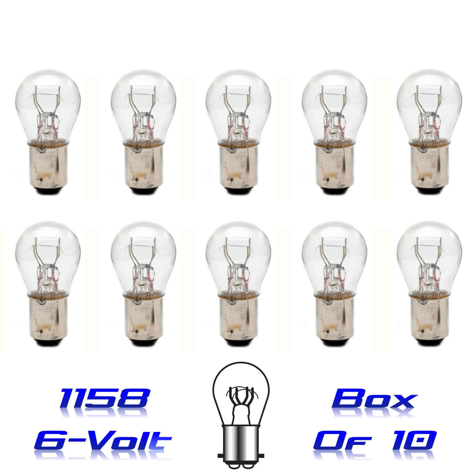 6 Volt Halogen Tail Light Bulbs | Shelly Lighting
