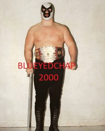 THE GRAPPLER WRESTLER 8 X1 0 WRESTLING PHOTO NWA | eBay