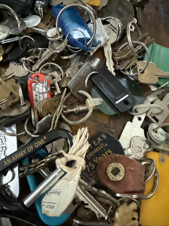 Bulk lot Keys ~6 Pds All kinds (includes Keychains And A Few Skeleton ...