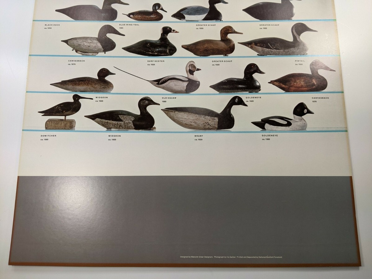 Ducks Unlimited Duck Identification Poster