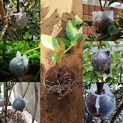 Air Layering Pods Plant Rooting Propagation Ball | eBay