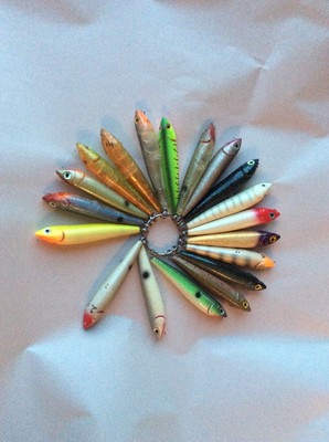 NINETEEN (19) STI! PUPFISH Lure SALESMAN SAMPLE RING-HARD TO FIND ...