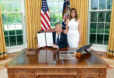 PRESIDENT DONALD TRUMP & First Lady Melania in Oval Office 13X19 POSTER ...