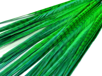 50 Pieces - 18-22" Bright Green Long Ringneck Pheasant Tail Wholesale ...