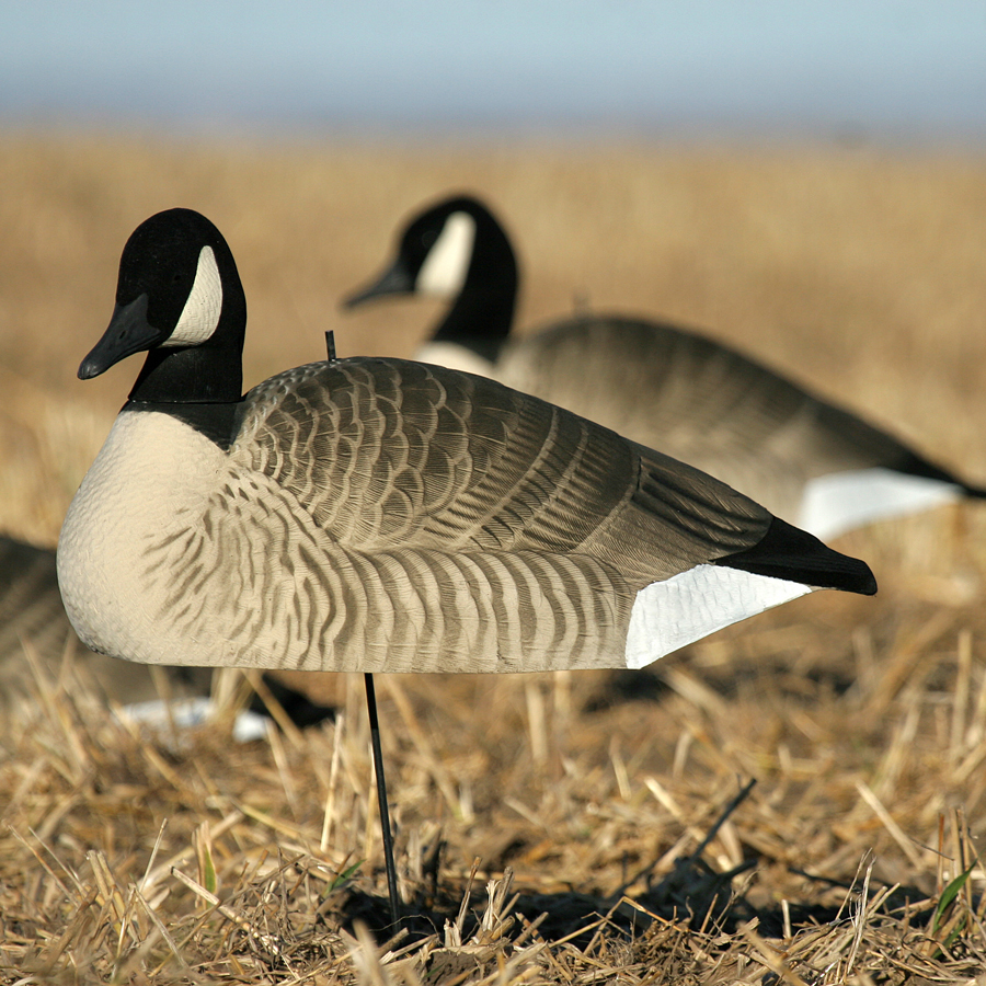 12 Avery Greenhead Gear Universal Motion Stakes Goose Duck Shell Decoys ...