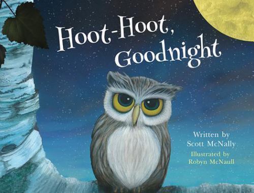 Hoot-Hoot, Goodnight by McNally, Scott 9781592988594| eBay
