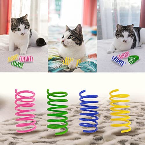 20 Packs Cat Spring Toys Plastic Springs Cat Toys Colorful for Cat ...