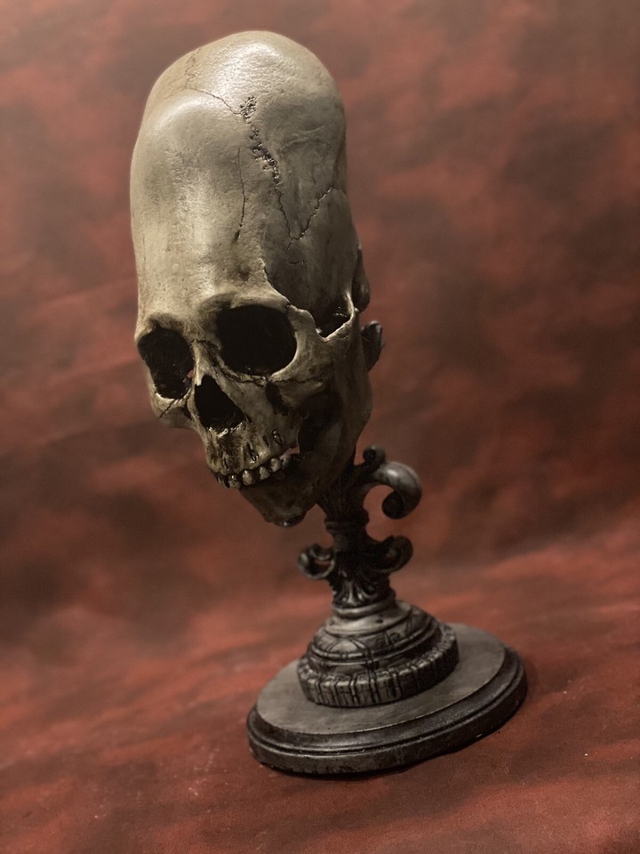 Peruvian Elongated Human skull RESIN REPLICA , - Zane Wylie Skulls ...