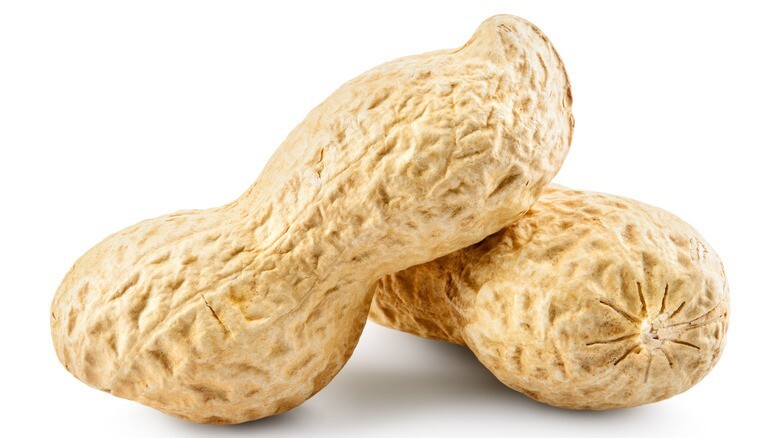 Peanuts in Shells - Monkey Nuts For Birds, Squirrels, Badgers 5kg | eBay UK
