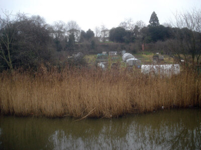 Photo 6x4 Lansdowne Crescent Allotments - 1 Worcester View east across ...