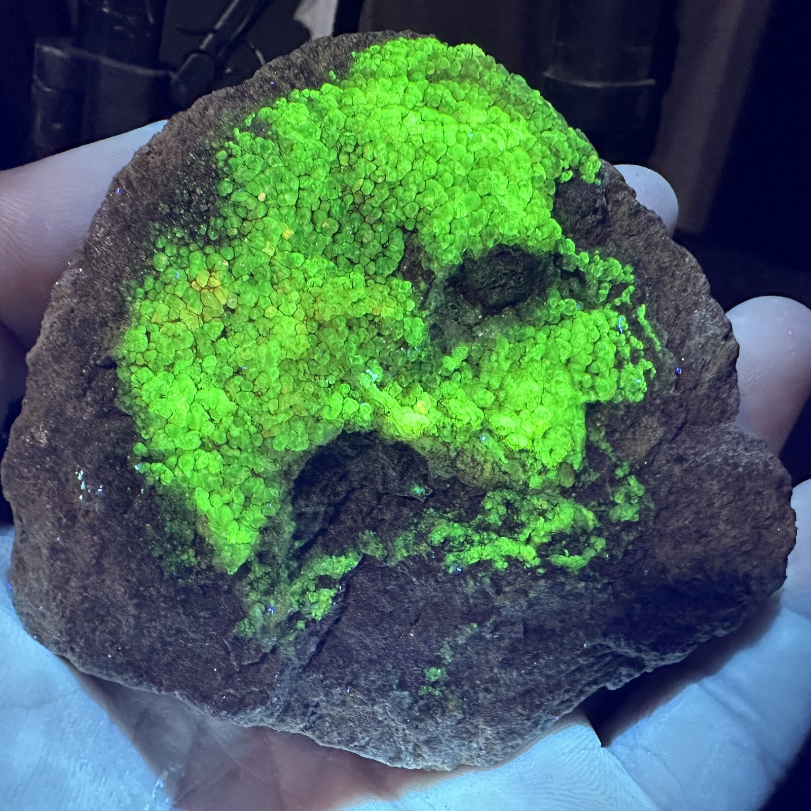 Botryoidal Fluorescent Green Hyalite Opal on Matrix from Utah | eBay