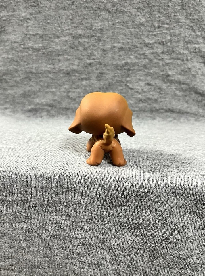 LITTLEST PET SHOP # 481 TAN BROWN ST BERNARD PUPPY DOG PINK FLOWER ...