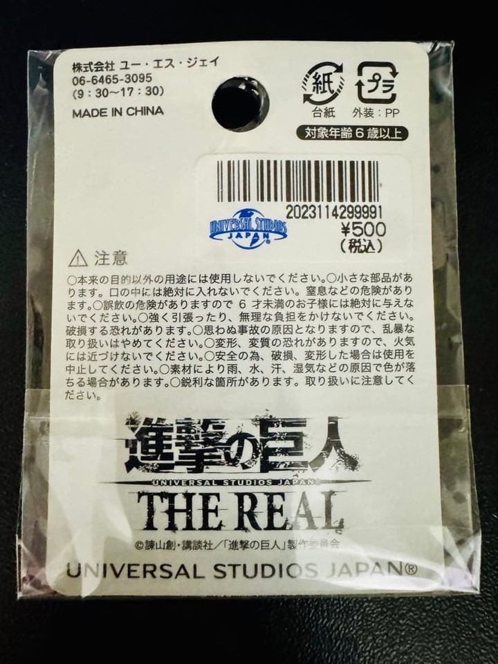 Attack on Titan Eren Keychain 50mm x 30mm Universal Studios Japan Charm ...