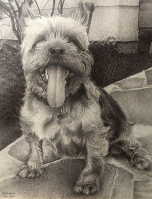 Riley- Original Sample Commissioned 16 X 20 Pencil Artwork- Signed | eBay