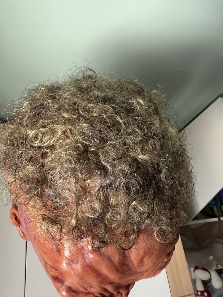 Life Size 1:1, The Thing (1982) horror Prop Bust Head | eBay