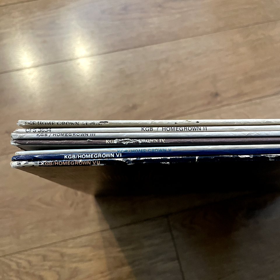 San Diego "Homegrown" LP Lot, FULL SET of (7), 1973-1979, local talent ...