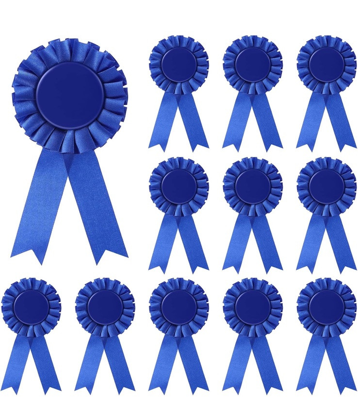 1st Place Blue Ribbon Clip Art