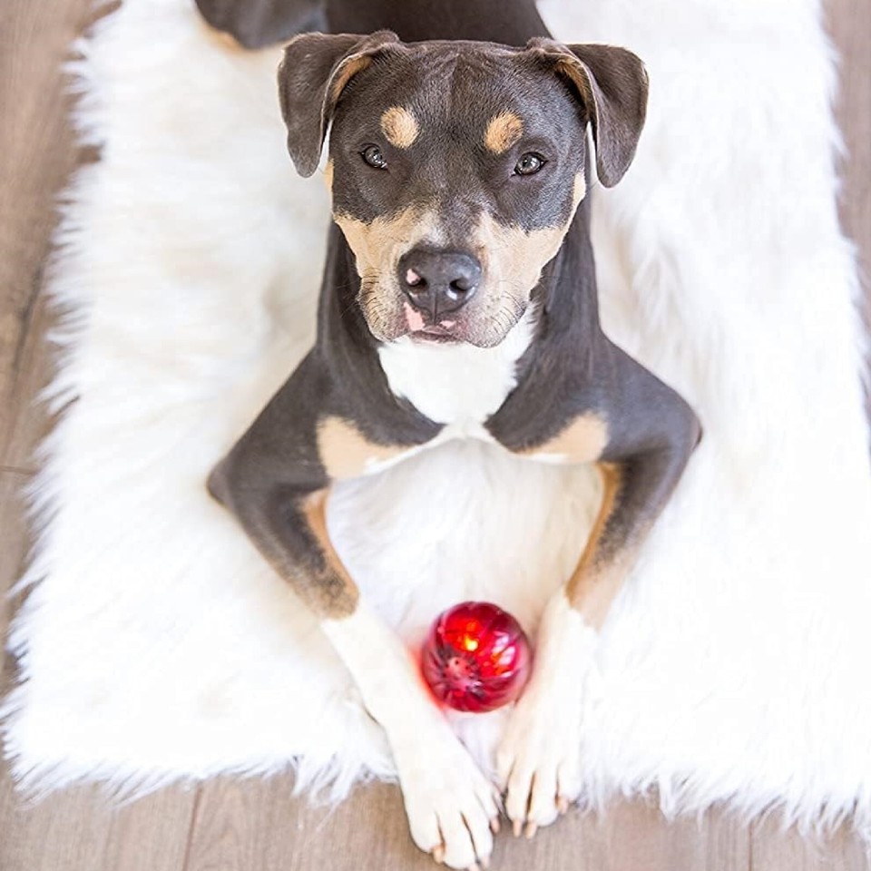 Pet Qwerks Blinky Babble Ball, Flashing Interactive Dog Toy, 2.25" D ...
