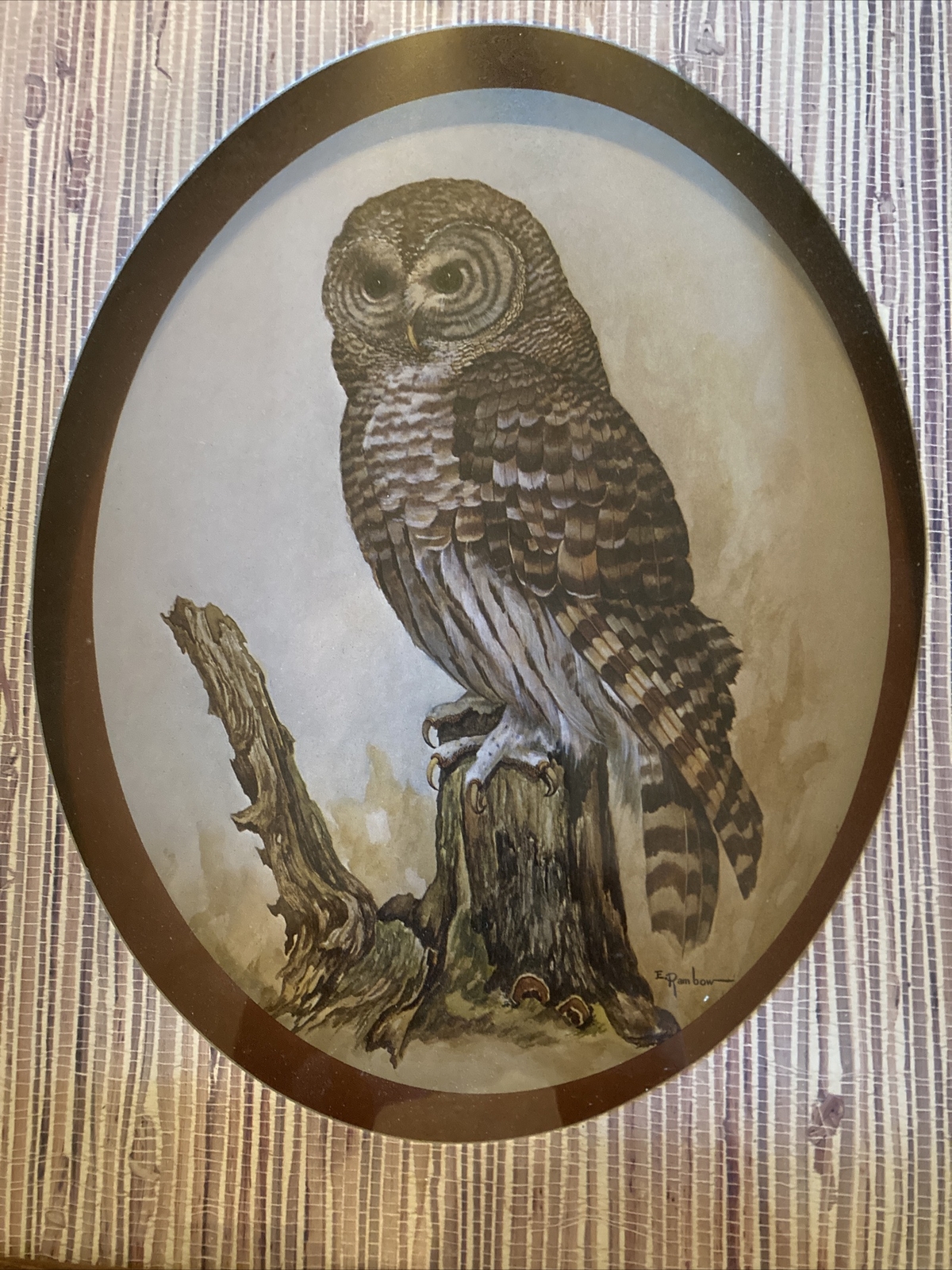 Vintage Rustic Owl Framed Art by Artist E. Rambow with Signature | eBay