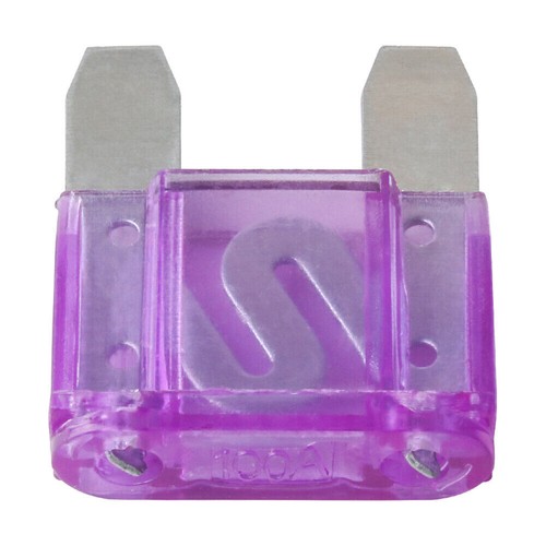 10PCS 100 Amp Large Blade Style Audio Maximum Fuses Maxi Fuse For Car ...