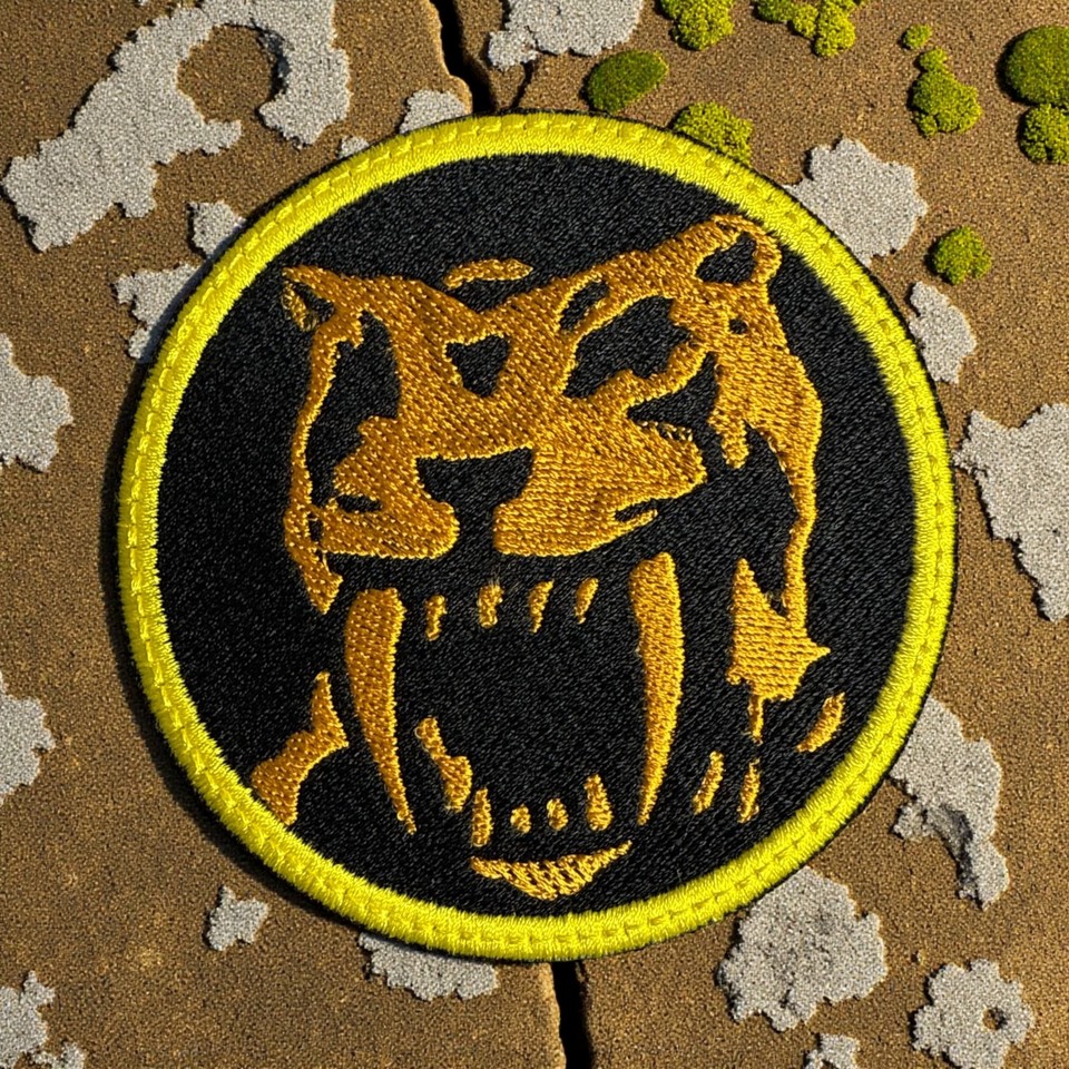 Power Ranger Yellow Ranger Coin Embroidery Patch 3.5" - 5" | eBay