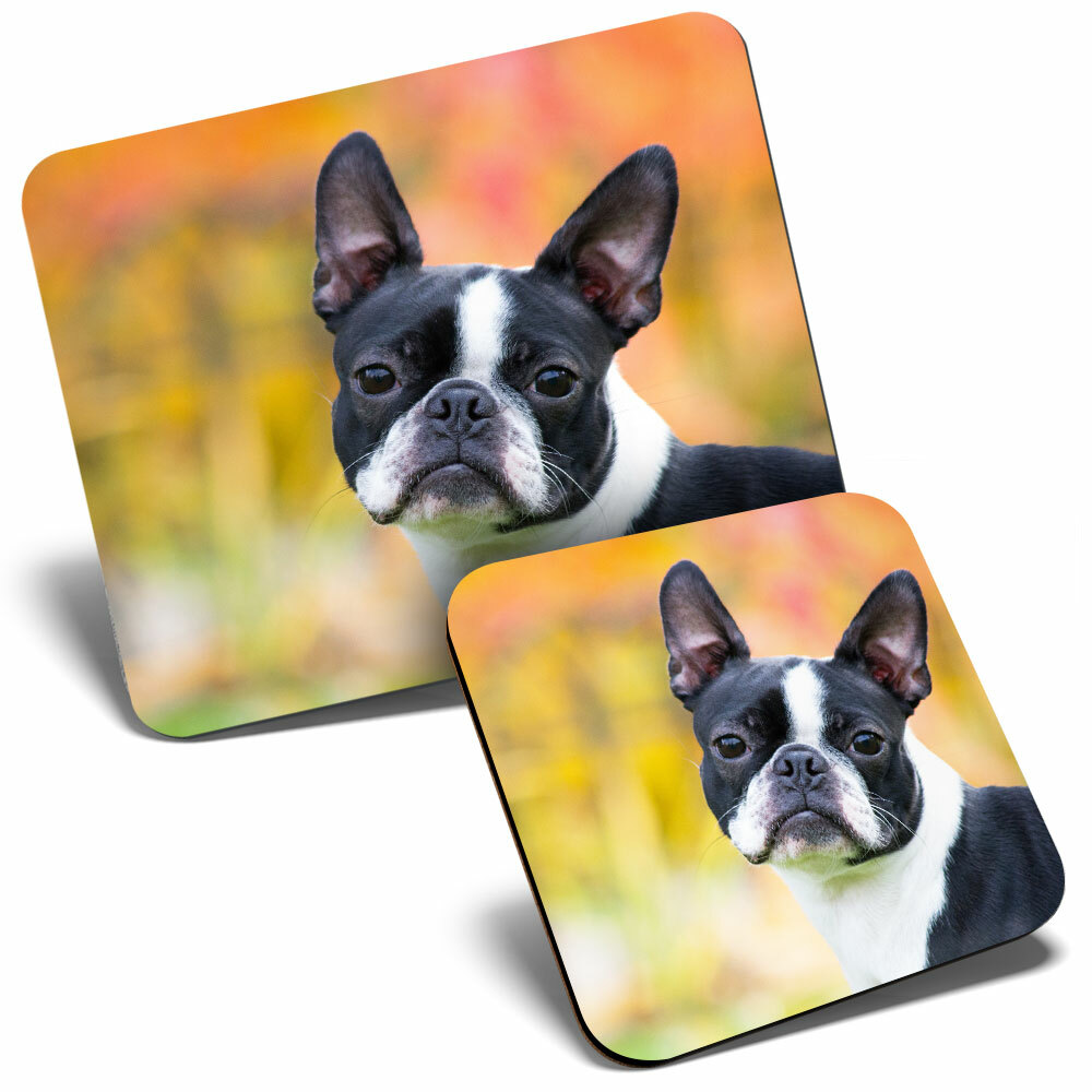 Mouse Mat & Coaster Set - Cute Boston Terrier Puppy Dog #16611 | eBay UK