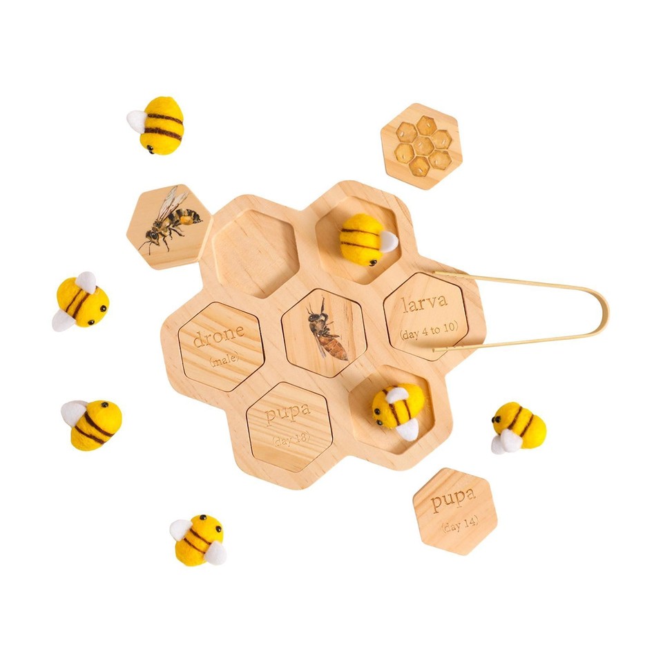 Life Cycle Tray Puzzle Teaching Aids Cognitive Toddlers Fine Motor ...