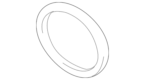 Genuine GM Fuel Injection Throttle Body O-Ring 12639086 | eBay