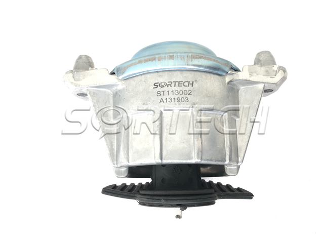 SWAG Engine Mounting Right Fits MERCEDES Cls A207 C207 C218 S212 ...