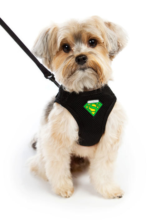 TSA Fast Pass Cat or Dog Leash & Vest Harness - size Small | eBay