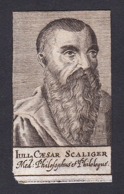 Julius Caesar Scaliger humanist Humanist Italien Italy Portrait ...