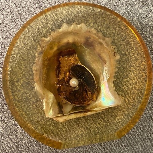 OYSTER with Pearl Paperweight Decor Encased in Resin Lucite Acrylic ...