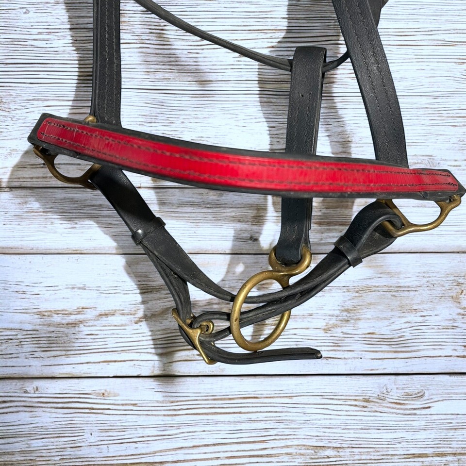 Black And Red Biothane Halter Bridle With Brass Hardware Horse Size Endurance | eBay