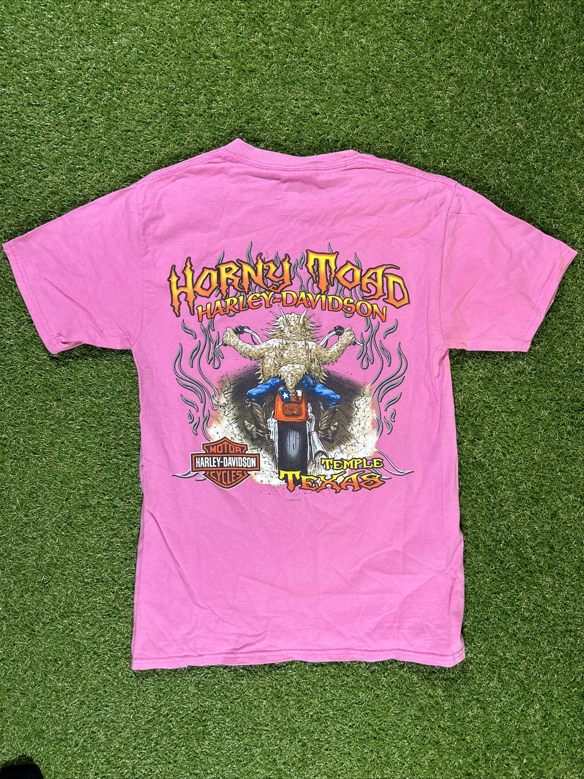 Y2K Harley Davidson Horny Toad Pink Temple Texas 2006… - Gem