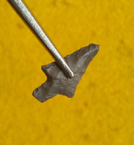 3/4" ARROW TIP TENNESSEE ARROWHEAD Authentic Bird Point AUTHENTIC ...