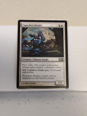 MTG Capashen Knight Magic 2014 11/249 Regular Common | eBay