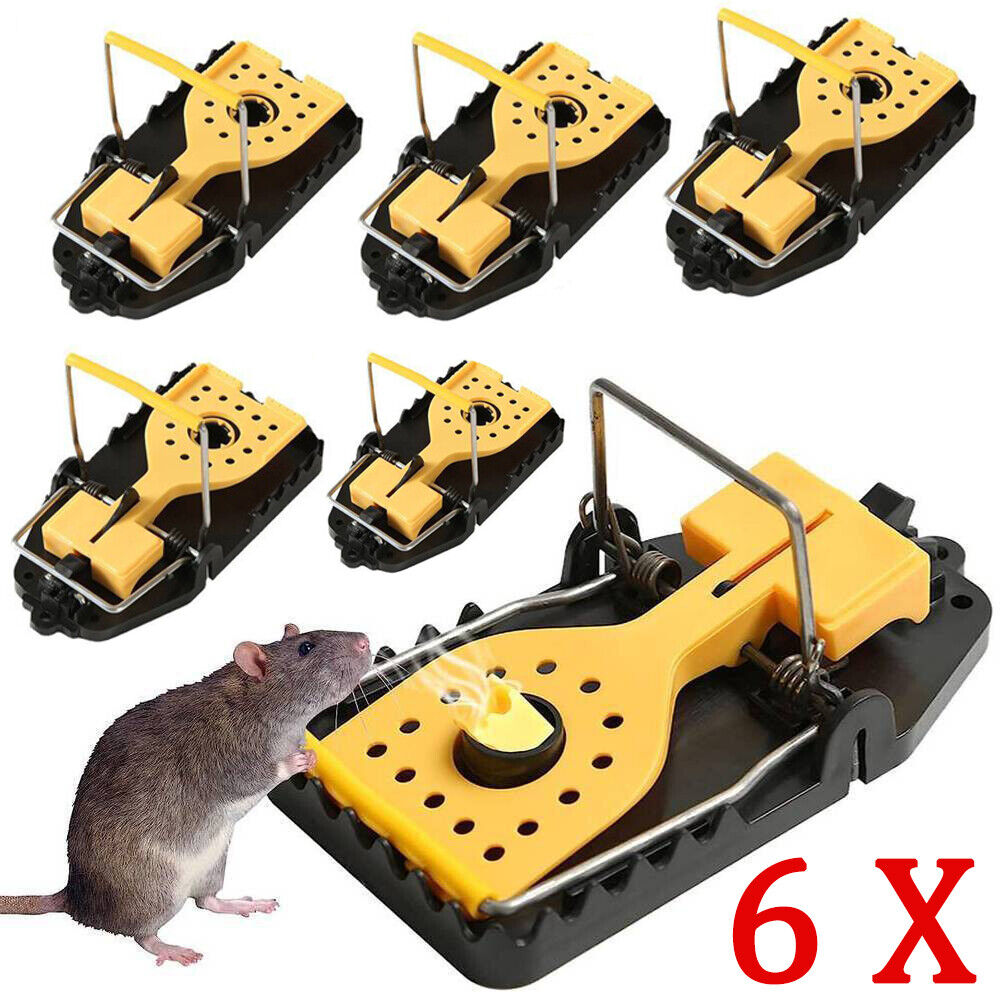 6 X Small Rat Catching Metal Traps Heavy Duty Snap Mouse Trap Bait Pest ...