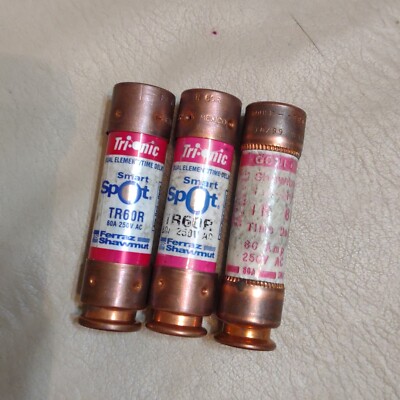 3 pcs FERRAZ SHAWMUT TR60R 60 Amp 60A 250 Volts 250V Time-delay Fuses ...