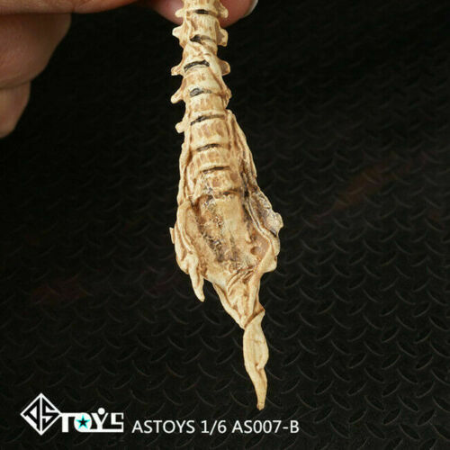 Alien Skull Skeleton 1/6 Head Carved Model Props Mud Zombie Figure Toy ...