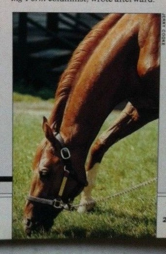 1989 SECRETARIAT DEATH TRIBUTE ARTICLE PARIS KENTUCKY Sports ...