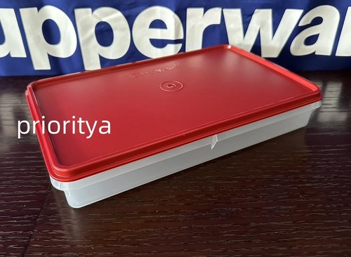 Tupperware Snack Stor Jr Bason Sliced Deli Meats Cheeses Keeper Dark ...