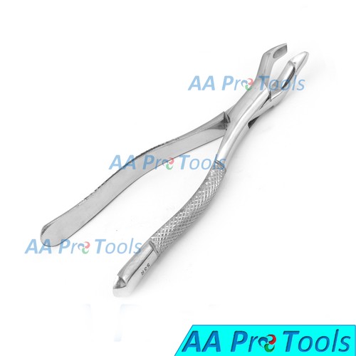 AA Pro: Tooth Extraction Forceps 53R Dental Instruments | eBay